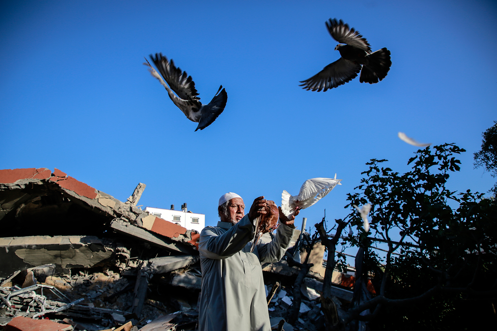 What the New Gaza Administrative Committee Needs to Succeed | The ...