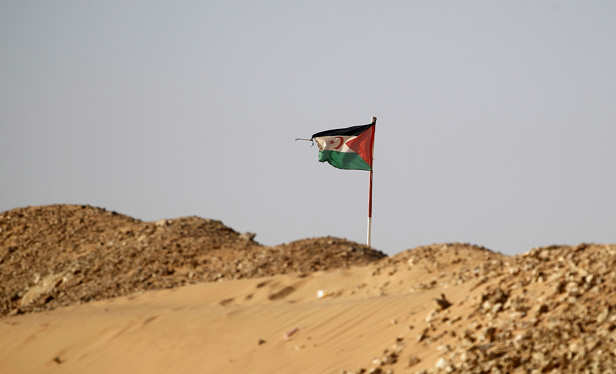 Will the Western Sahara Crisis Tear the Maghreb Apart? | The Washington ...