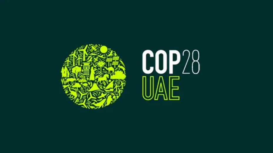 Rising Temperatures at Dubai’s COP28 Meeting | The Washington Institute